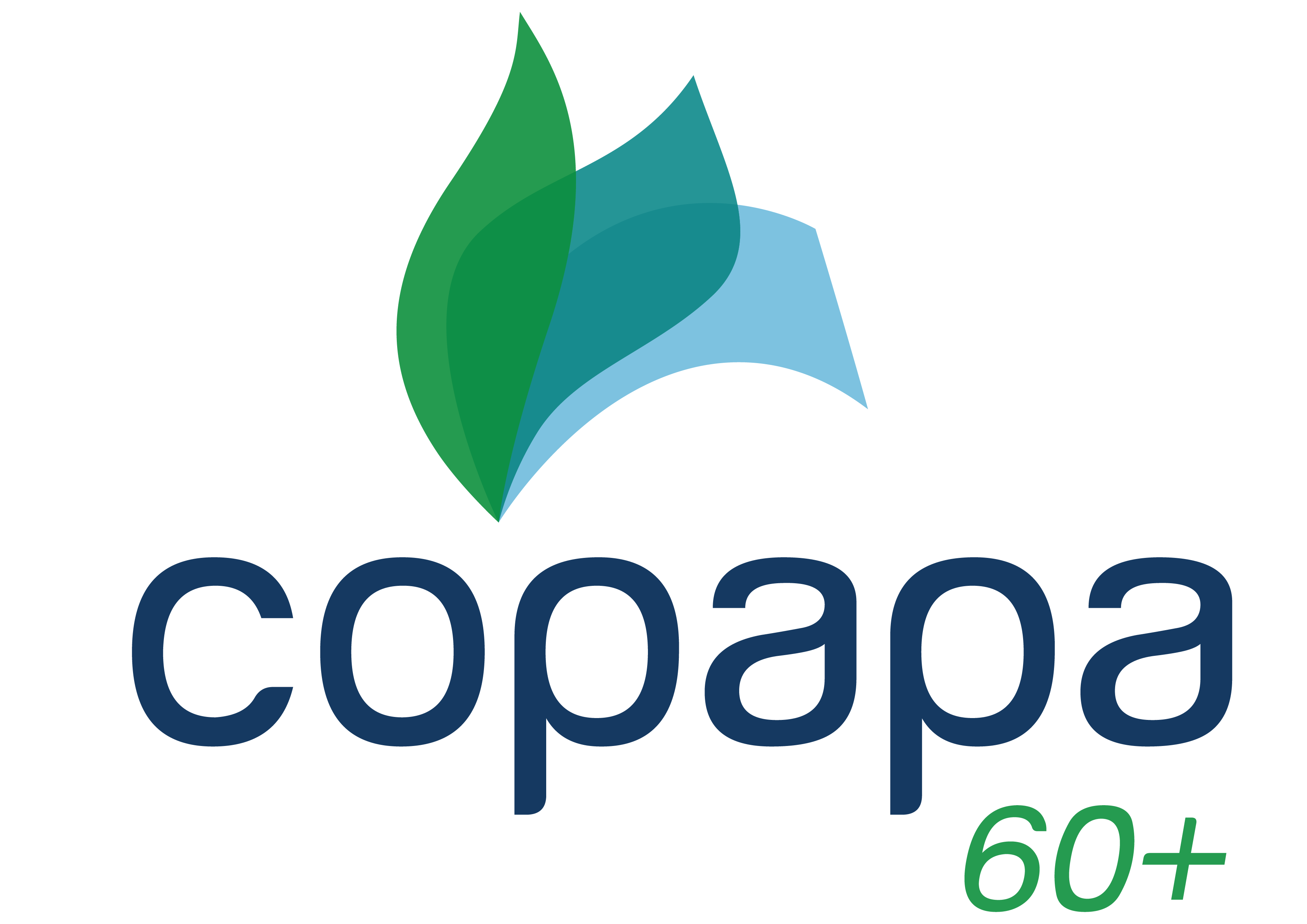COPAPA - Companhia Paduana de Papéis